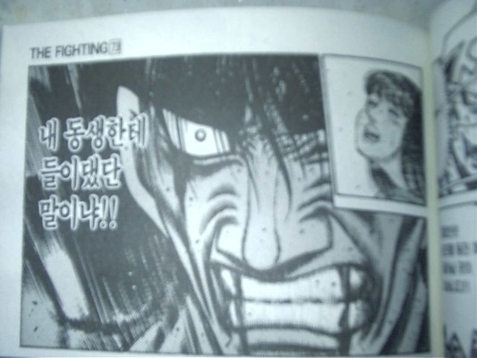 [Comic] 더파이팅 73권. 凶 (내용有) | 만화책 도서 갤러리 | RULIWEB