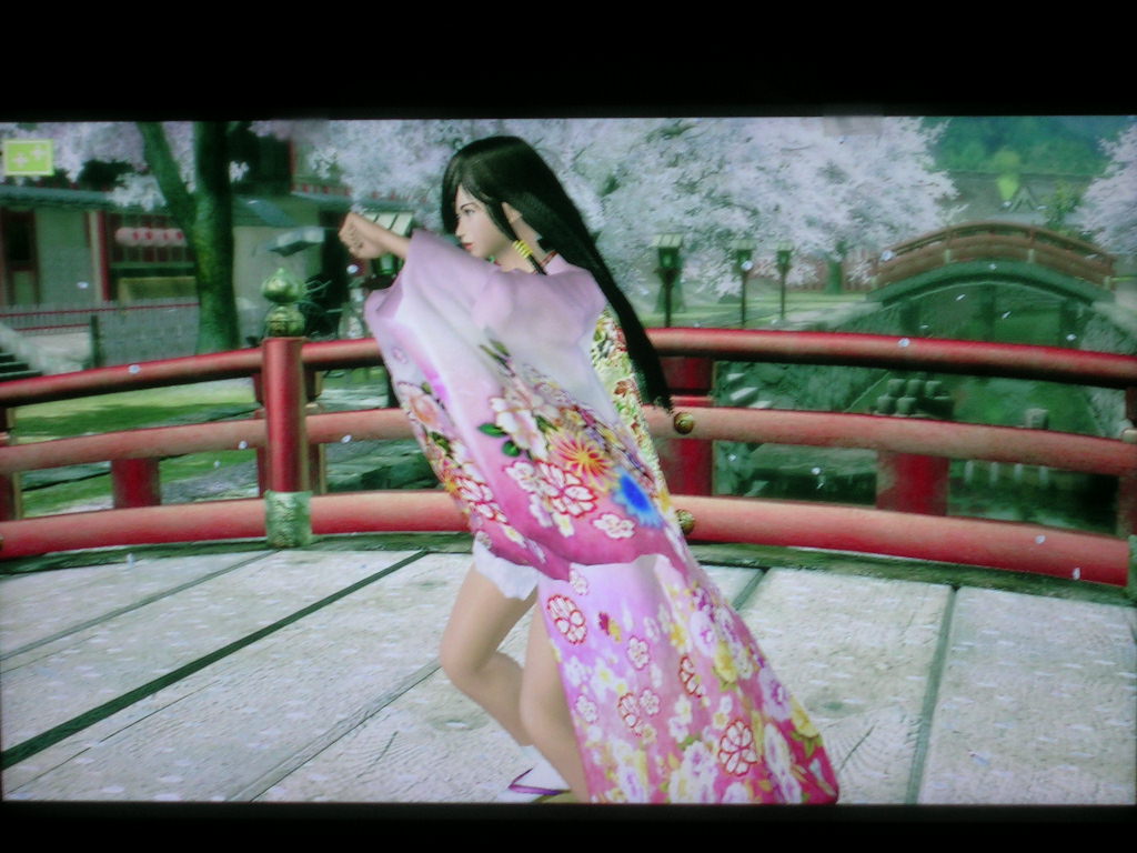 후방 미소녀격투겜- DEAD OR ALIVE 4 특전판 + 스샷 | 오픈 케이스 갤러리