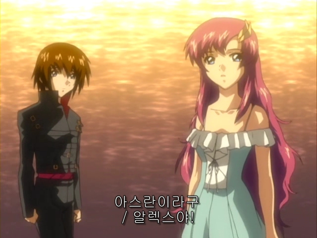 건담시드데스티니. 8화. | 애니메이션 갤러리 | RULIWEB