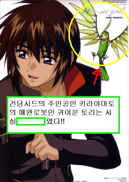 건담seed "토리"의 정체! | 프라모델 이야기 | RULIWEB