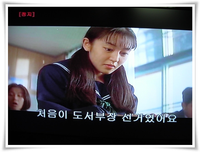 [PMP] 맥시안 E900/D900 전용 24핀 컴포넌트 케이블 | MP3/PMP 이야기