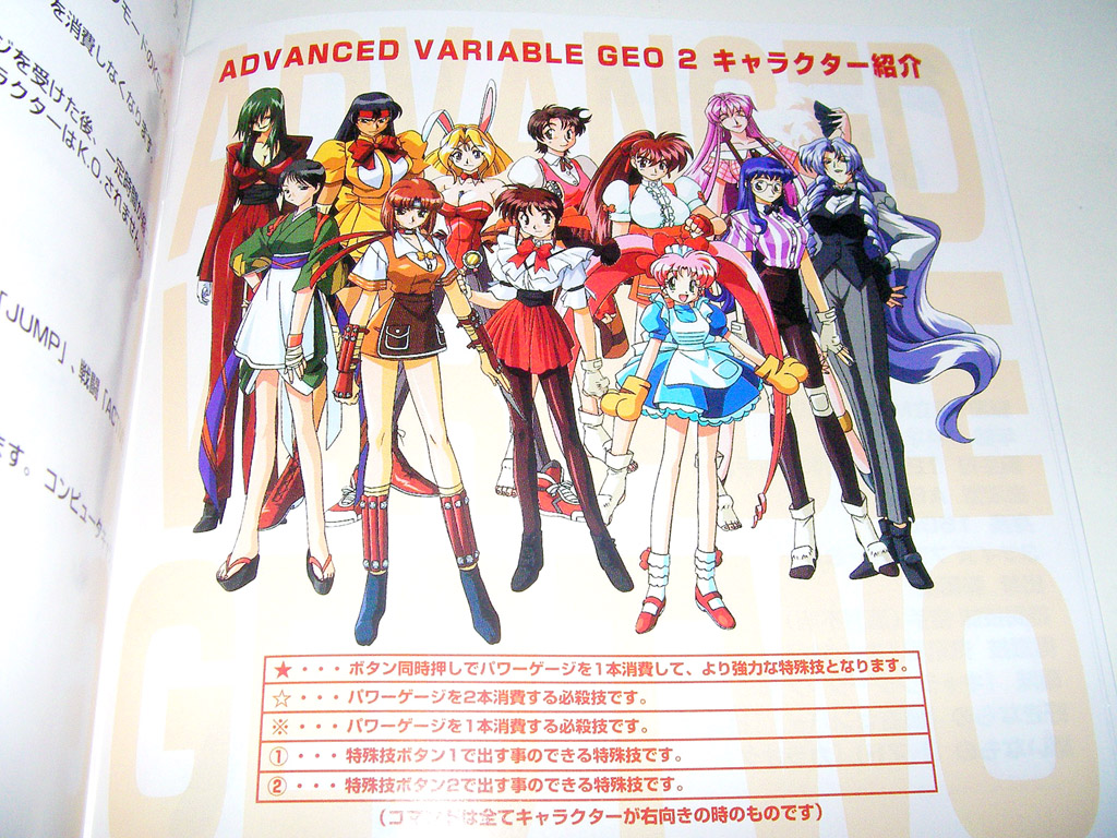 어드밴스드 배리어블 지오Advanced VG 2