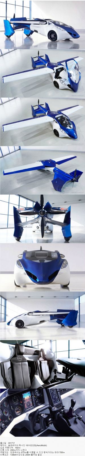 칼쑤마졍이 마이피